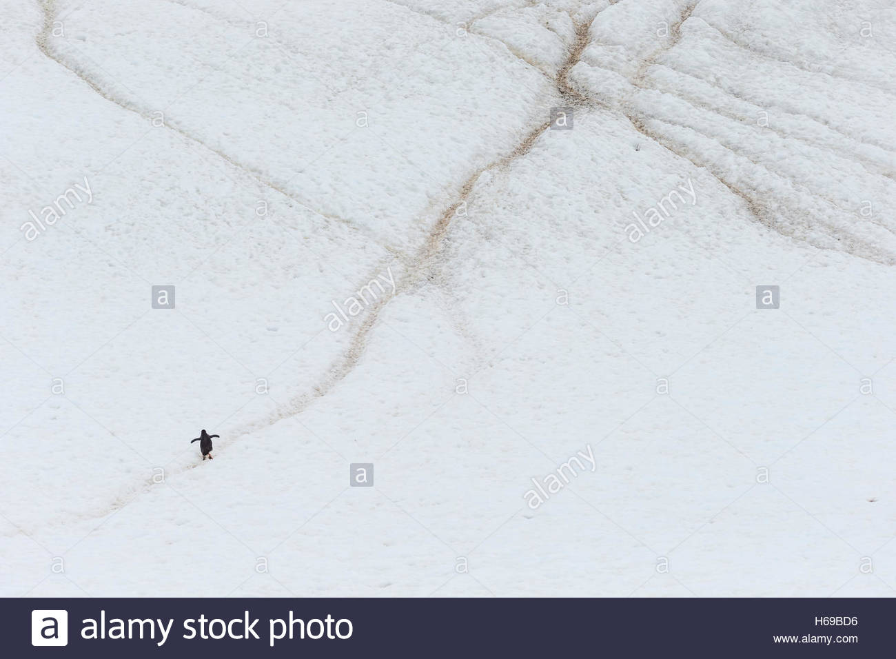 Drake passage, antarctica aerial hi-res stock photography and images ...