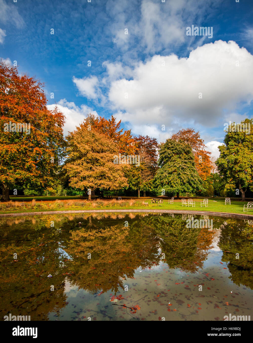 Autumn fall trees reflecting in water Stock Photo - Alamy