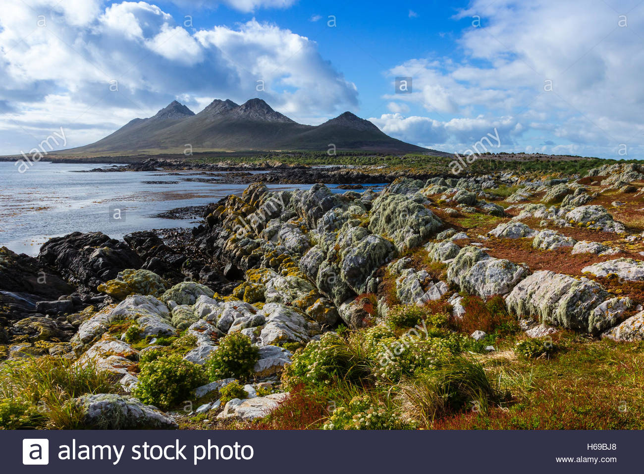 A rocky shoreline on Steeple Jason Island in the Falkland Islands Stock ...