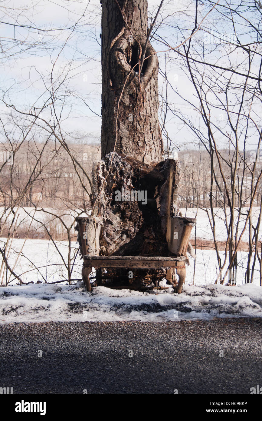 Deserted Chair with Tree Stock Photo - Alamy