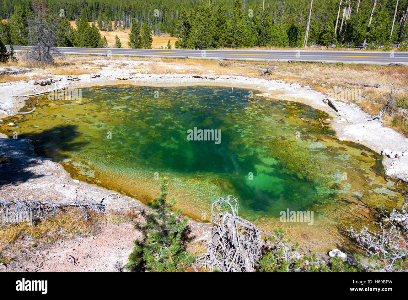 Yellowstone Road High Resolution Stock Photography and Images - Alamy