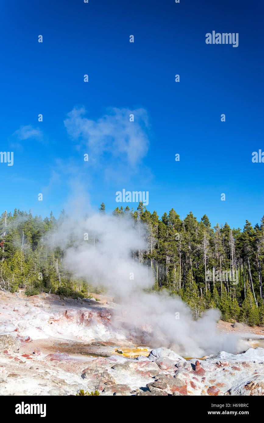 Vertical view of Steamboat Geyser in Yellowstone National Park Stock ...