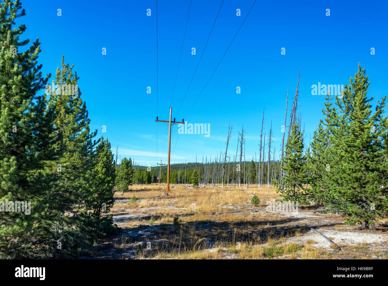 Power lines running through Norris Geyser Basin in Yellowstone National ...
