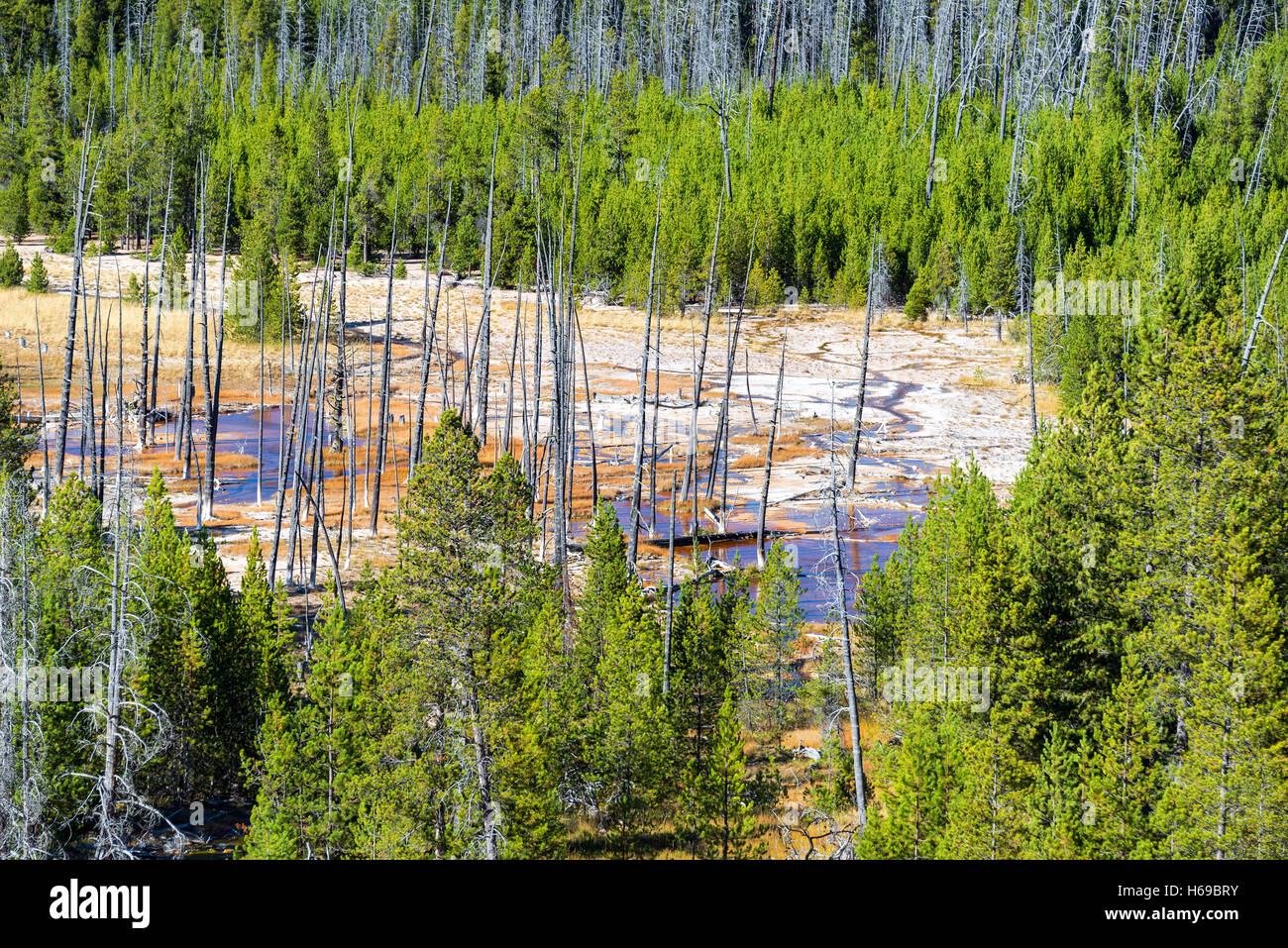 Norris basin in yellowstone hi-res stock photography and images - Alamy