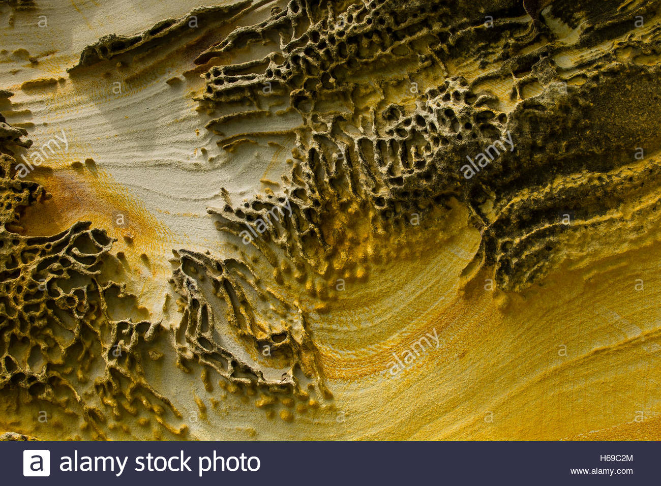 Patterns honeycomb weathering hi-res stock photography and images - Alamy