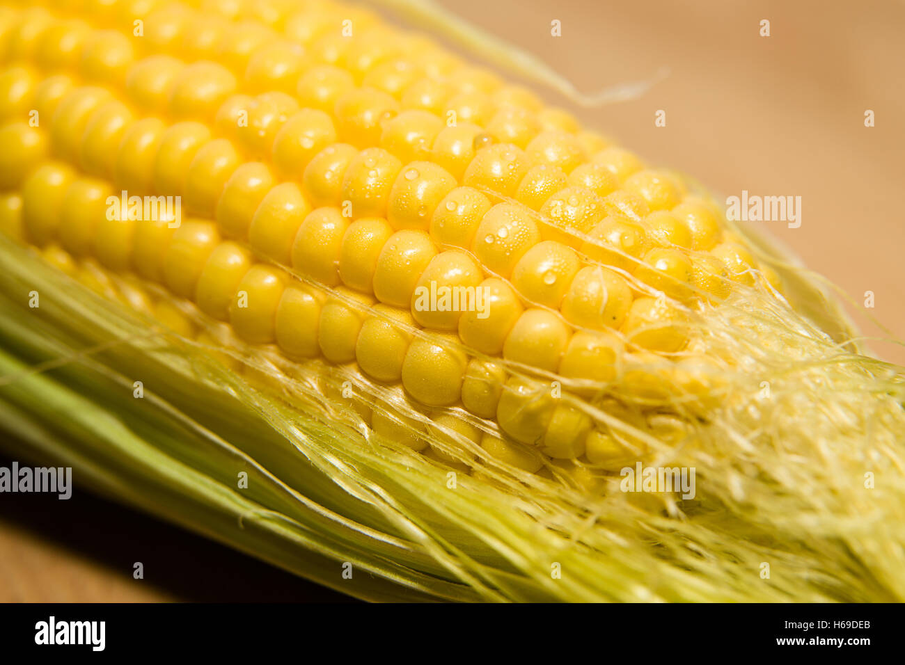 The seeds fruit of the corn. Closeup Stock Photo - Alamy