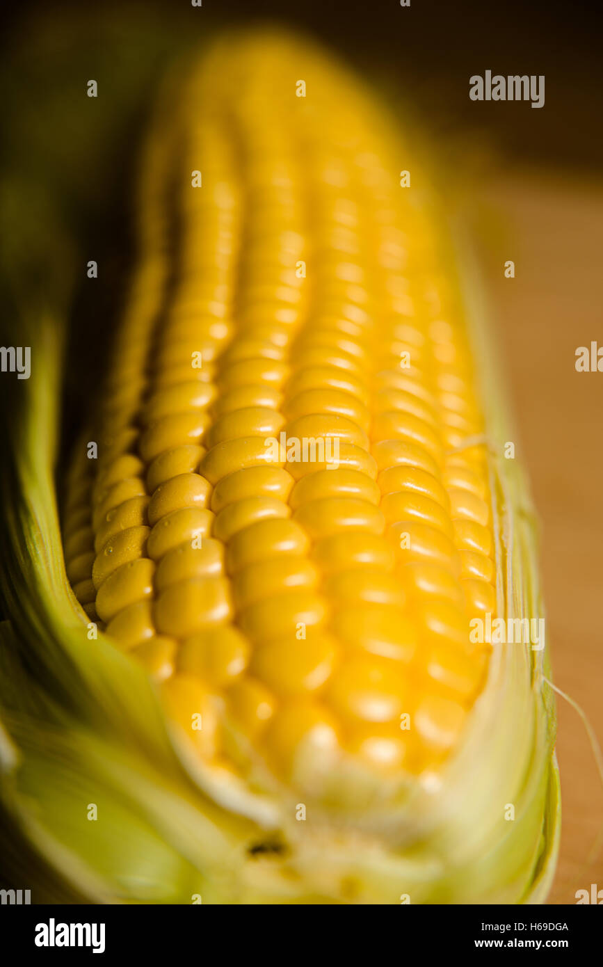 The seeds fruit of the corn. Closeup Stock Photo - Alamy