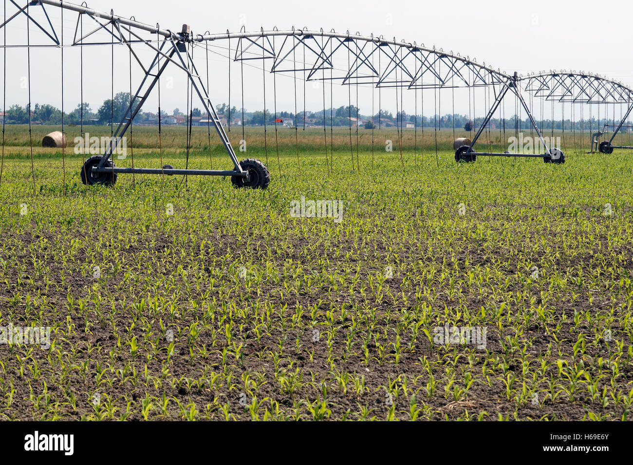Water environme hi-res stock photography and images - Alamy