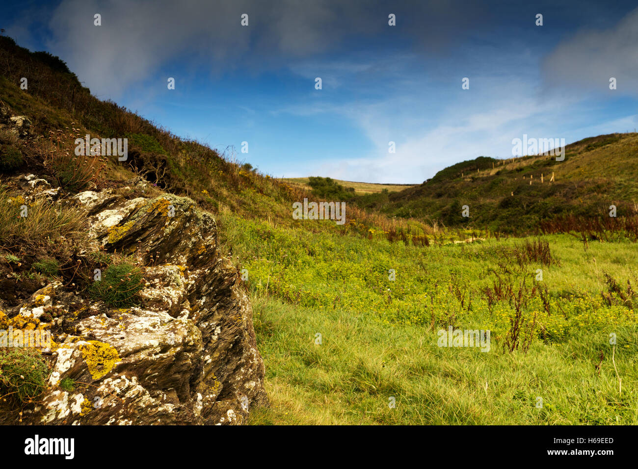 View of countryside from costal path near Polzeath, Cornwall Stock ...