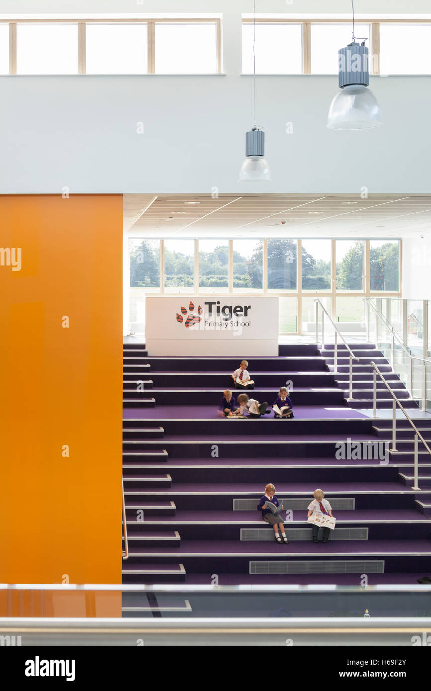 Square view of interior steps with pupils studying. Tiger Primary ...