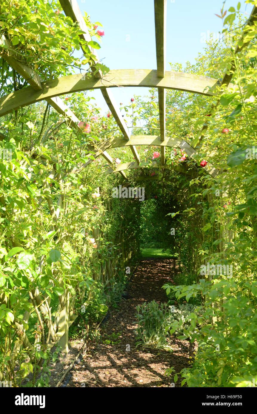 Furze gardens hi-res stock photography and images - Alamy