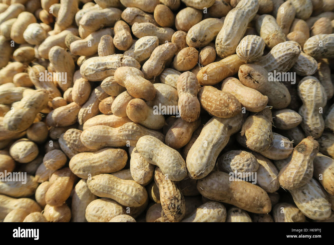 Close-Up of Peanuts for Sale , Street Vendor, NYC, USA Stock Photo - Alamy