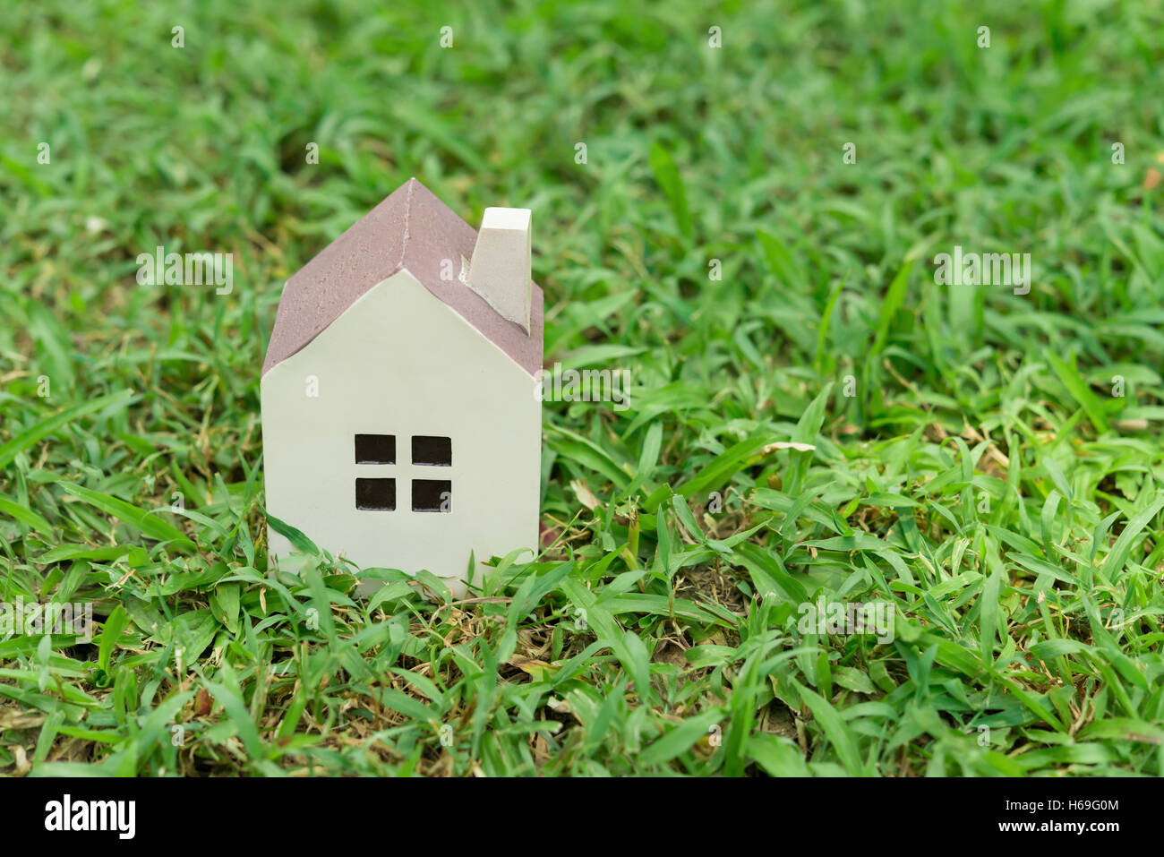 a house model on green grass Stock Photo - Alamy