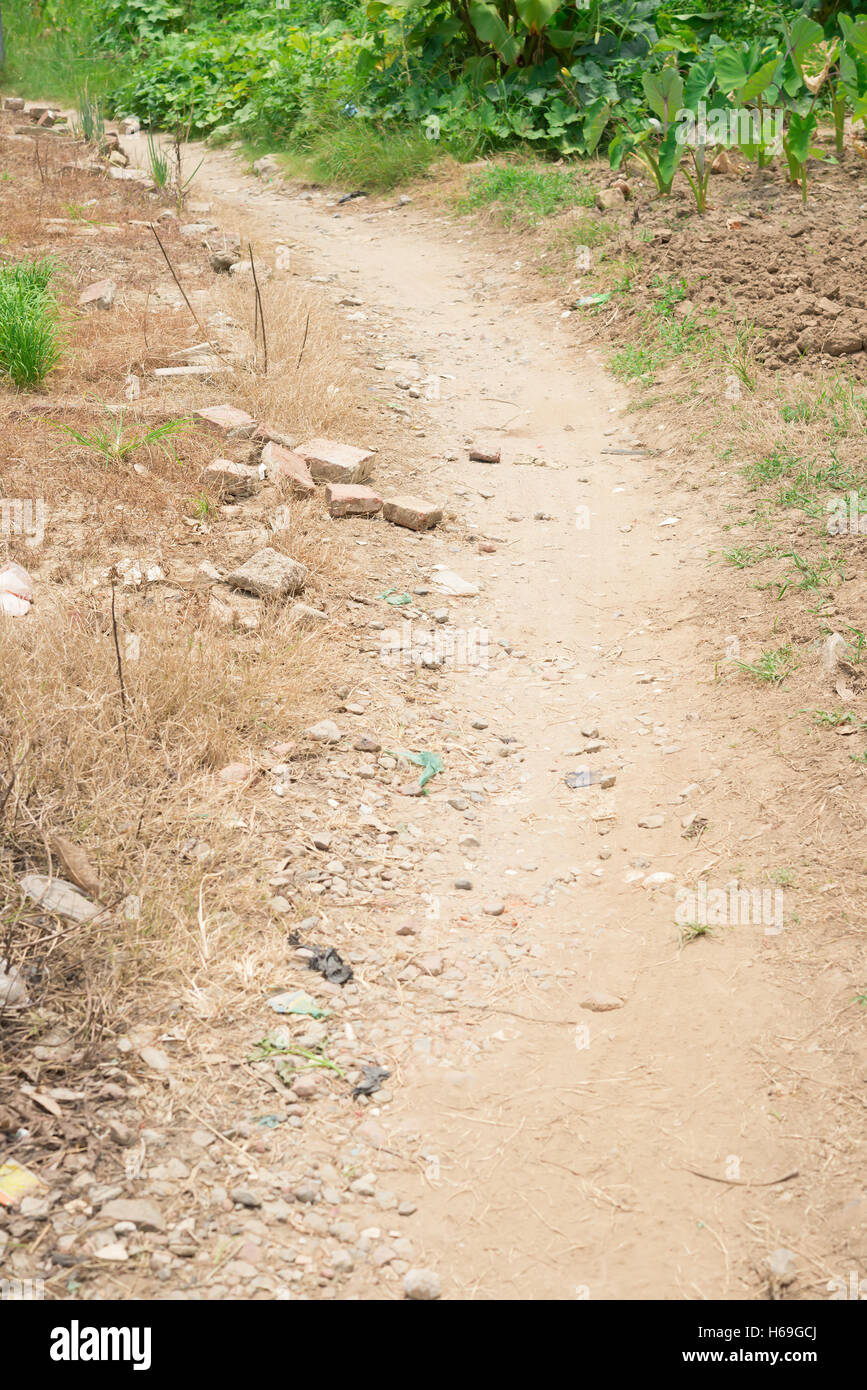 muddy pathway in a field Stock Photo - Alamy