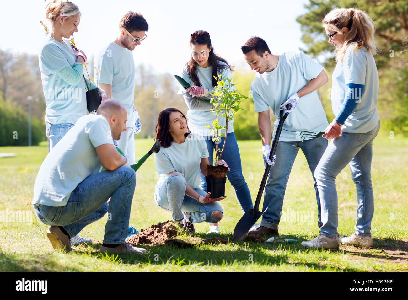 group of volunteers planting tree in park Stock Photo - Alamy