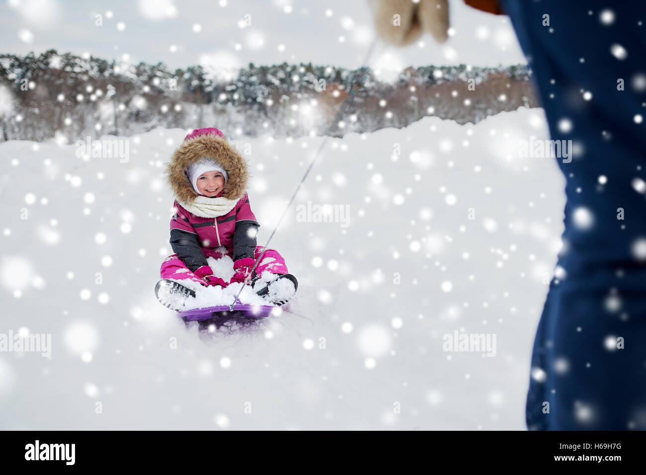 parent carrying happy little kid on sled in winter Stock Photo - Alamy