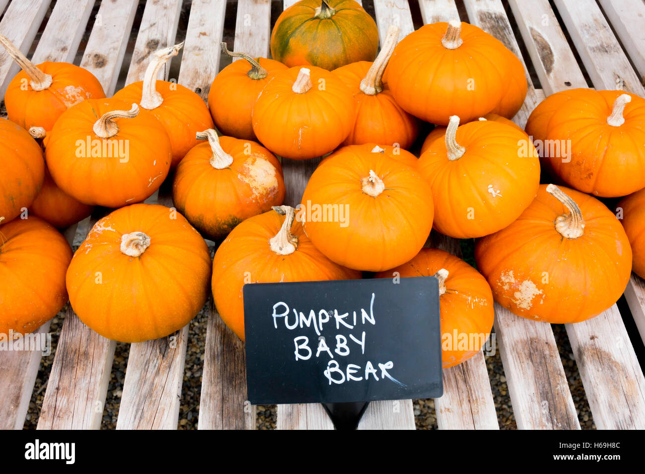 Baby bear hi-res stock photography and images - Alamy