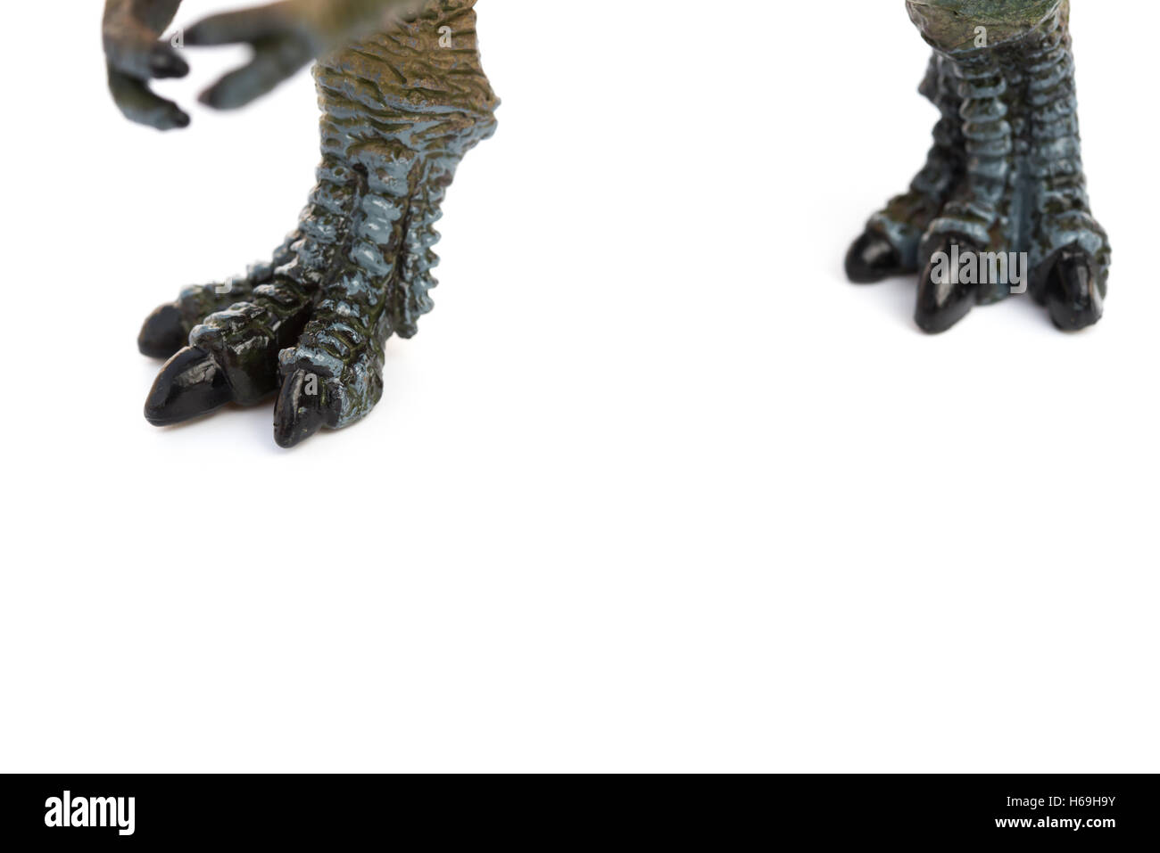 Dinosaur tyrannosaurus rex foot hi-res stock photography and images - Alamy