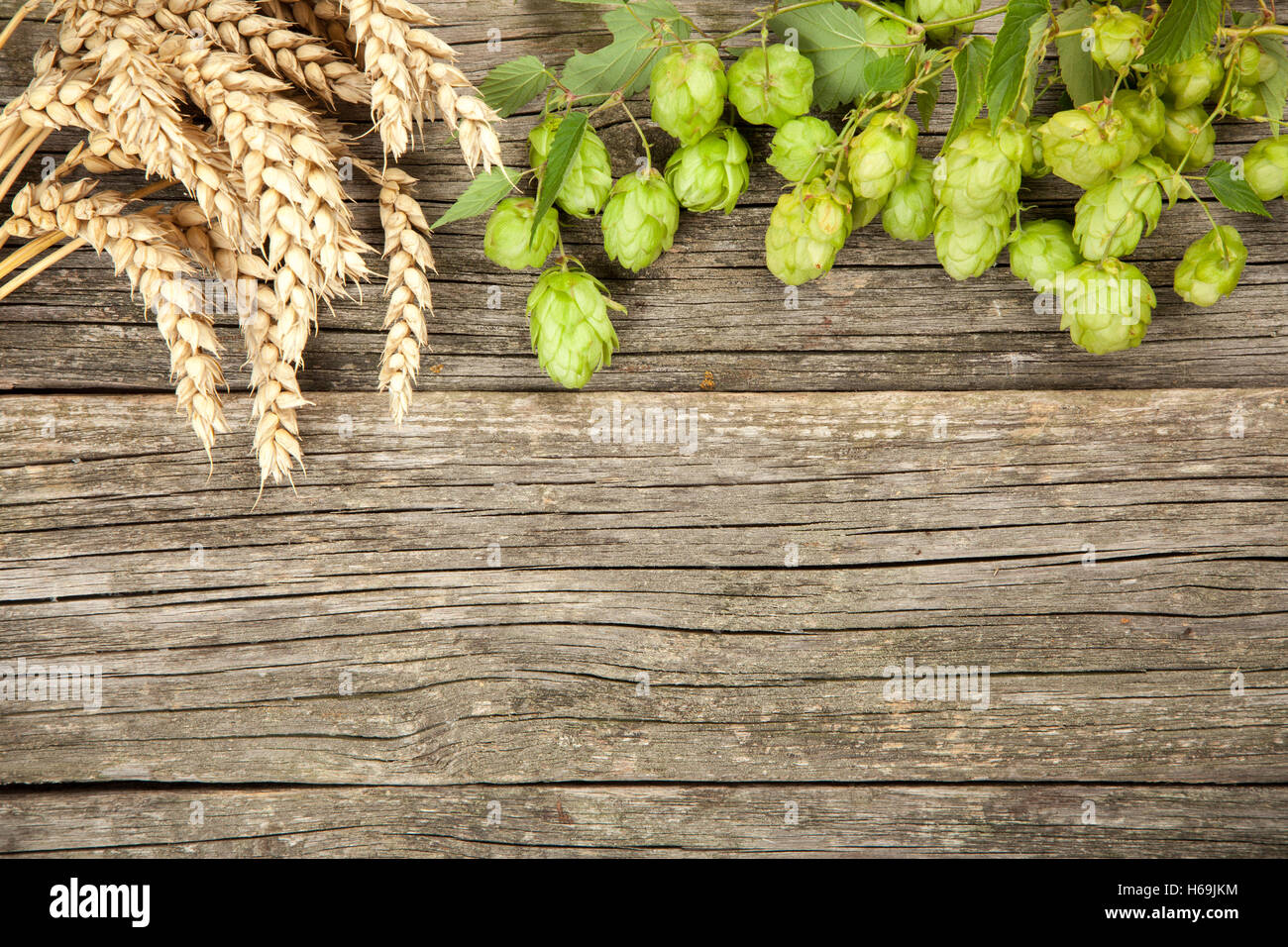 Malt and hops Stock Photo - Alamy
