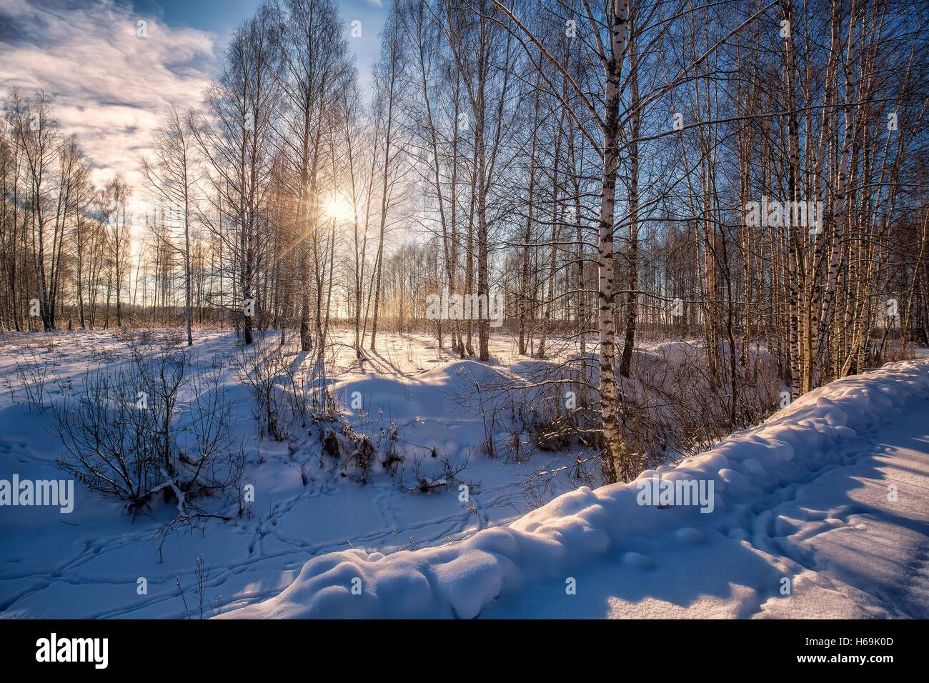 Russian winter landscape Stock Photo - Alamy