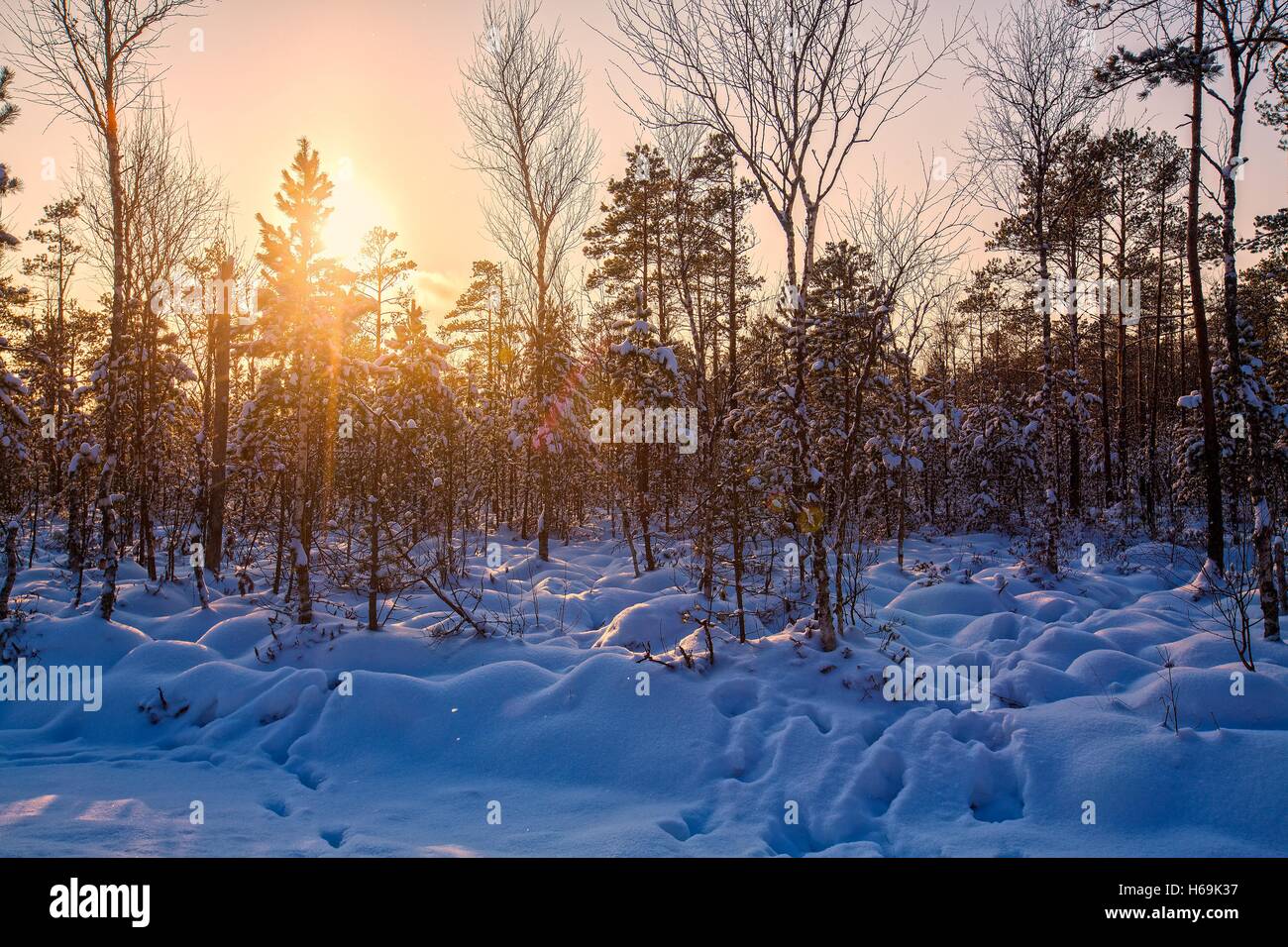 Russian winter landscape Stock Photo - Alamy