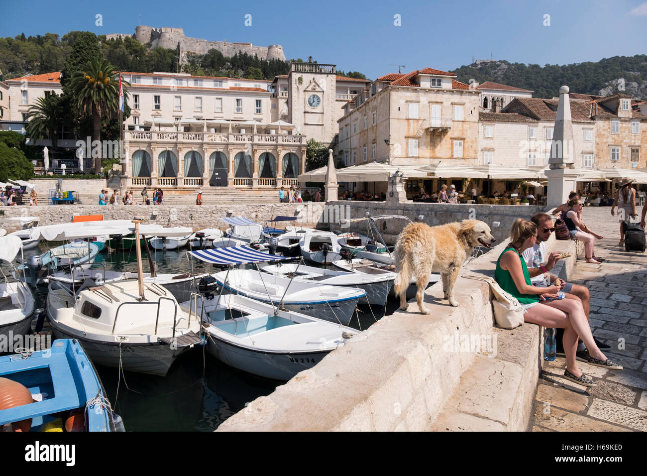 The Port of Hvar is filled with boats and has a view of the hilltop ...