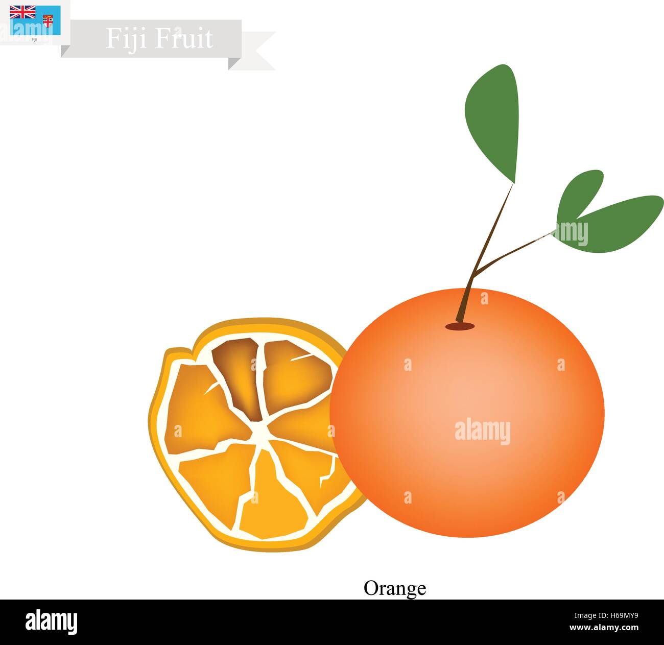 Fiji Fruit, Illustration of Orange. One of The Most Popular Fruits in ...