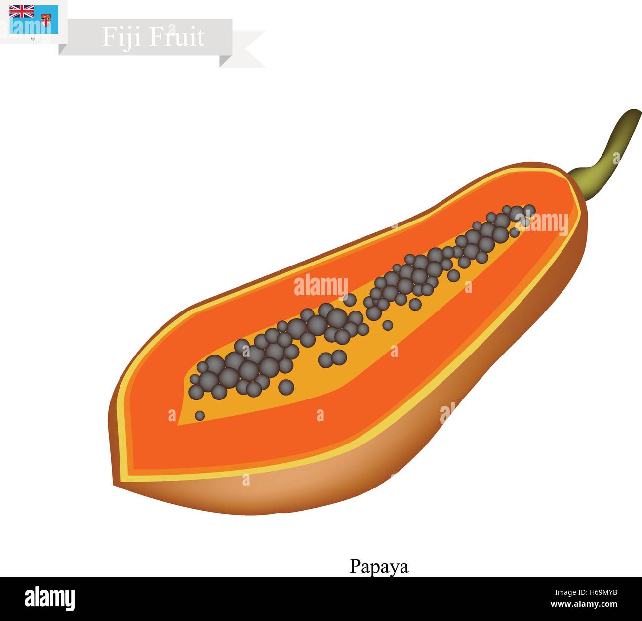 Fiji Fruit, Illustration of Ripe Papaya. One of The Most Popular Fruits ...