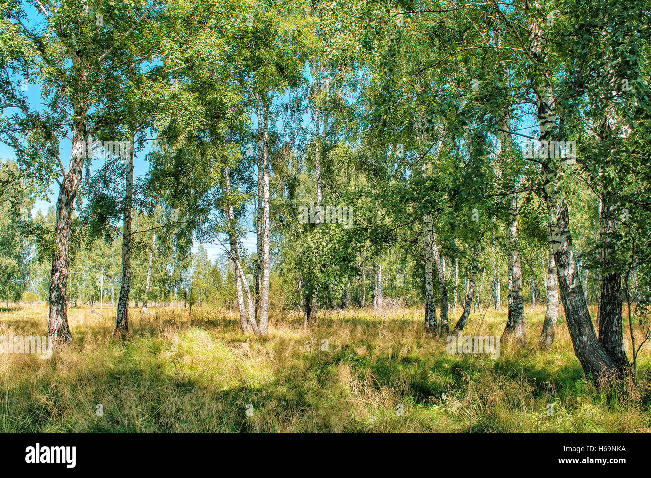 Harmony grove hi-res stock photography and images - Alamy