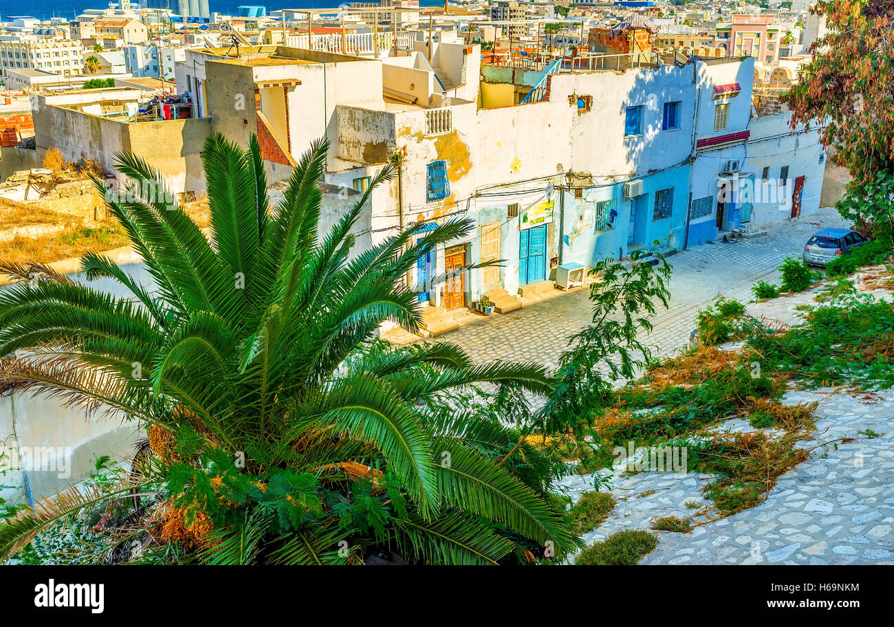The great view on residential districts of old Medina from the top of ...