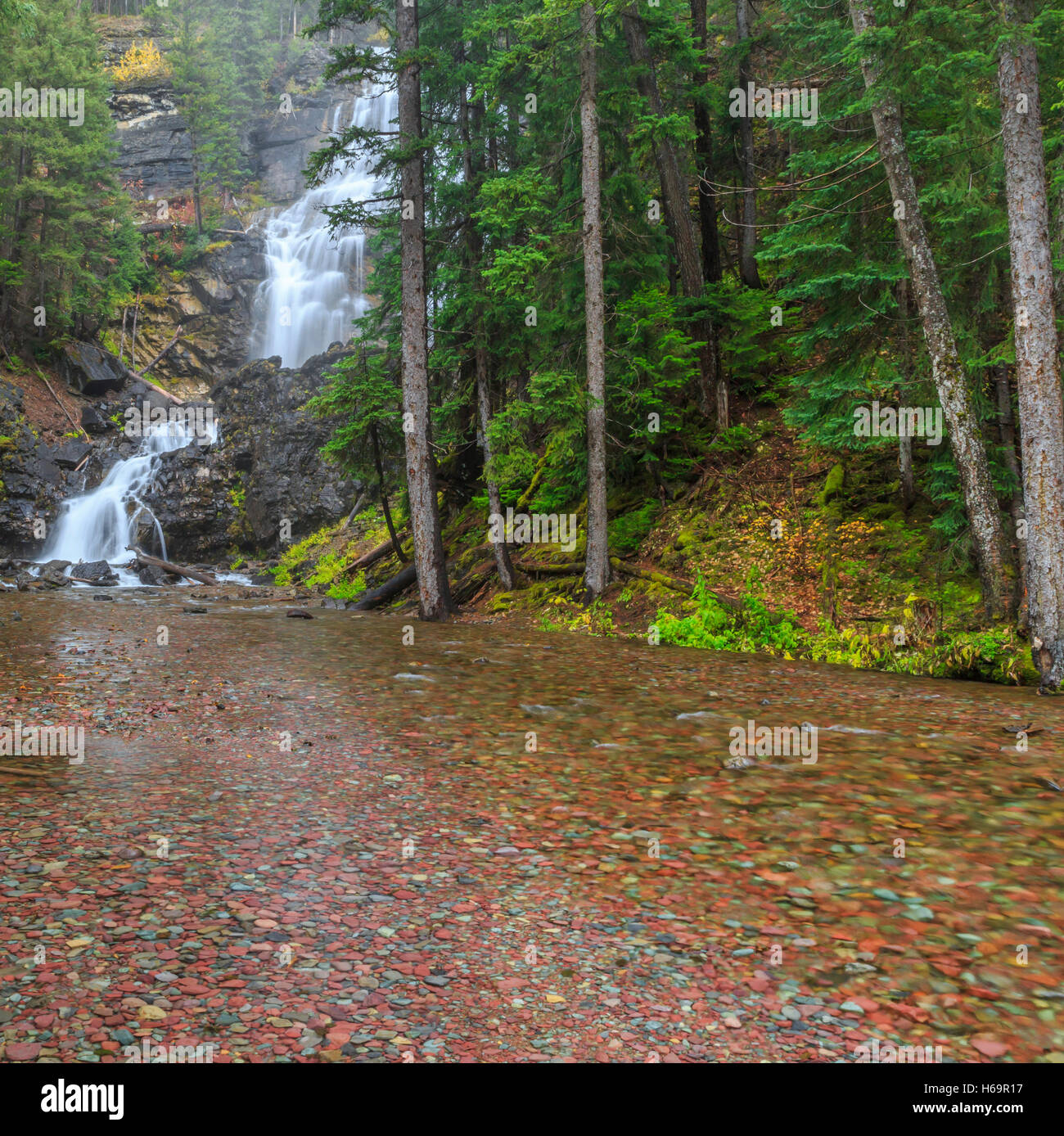 morrell creek falls in lolo national forest near seeley lake, montana ...