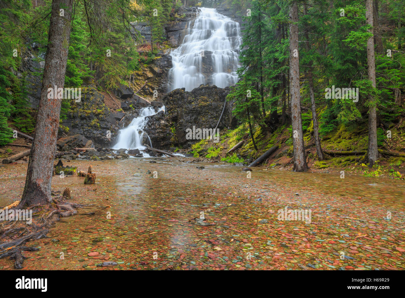 morrell creek falls in lolo national forest near seeley lake, montana ...