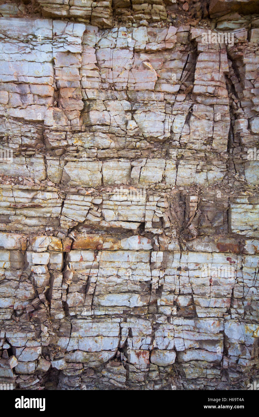 surface of a Devonian calcareous platform Stock Photo - Alamy