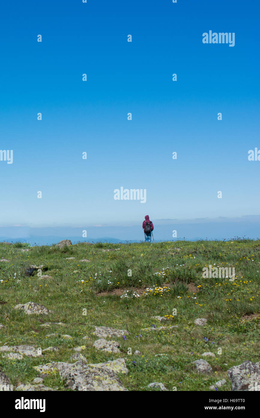 Young man taking an excursion on a mountain Stock Photo - Alamy
