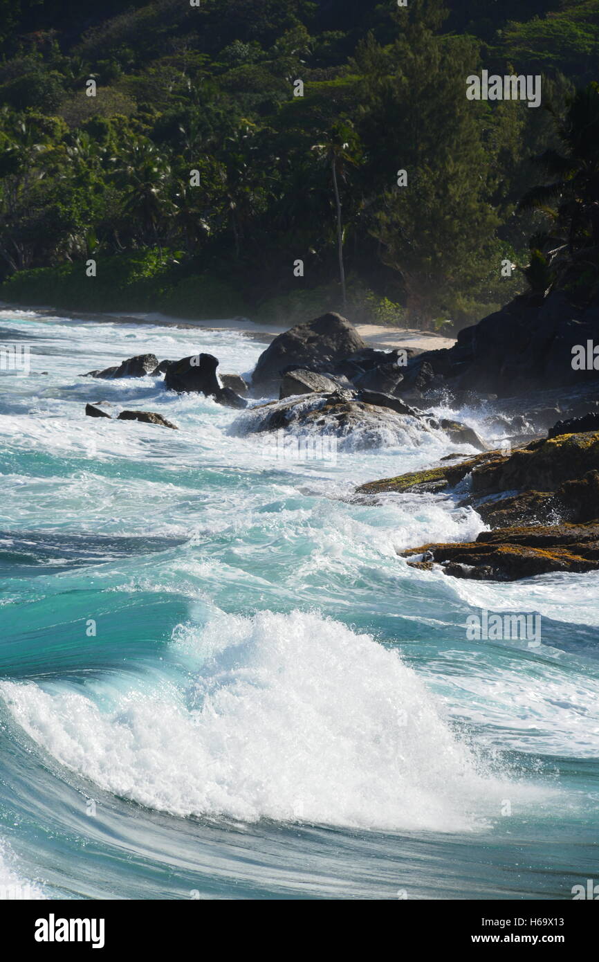 beach blue ocean volcanic rock rocks waves forest Seychelles Stock ...