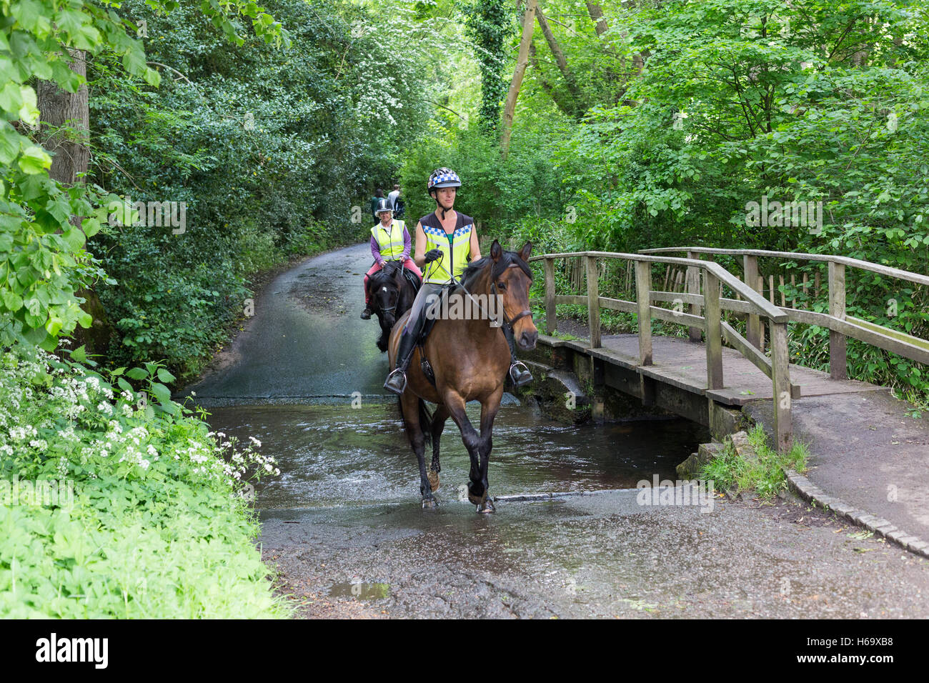 Village of Shere in the Surrey Hills Stock Photo - Alamy
