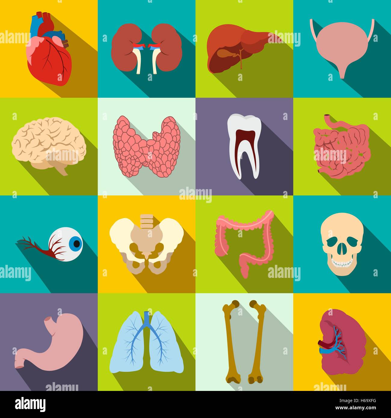 Internal organs flat icons Stock Vector Image & Art - Alamy