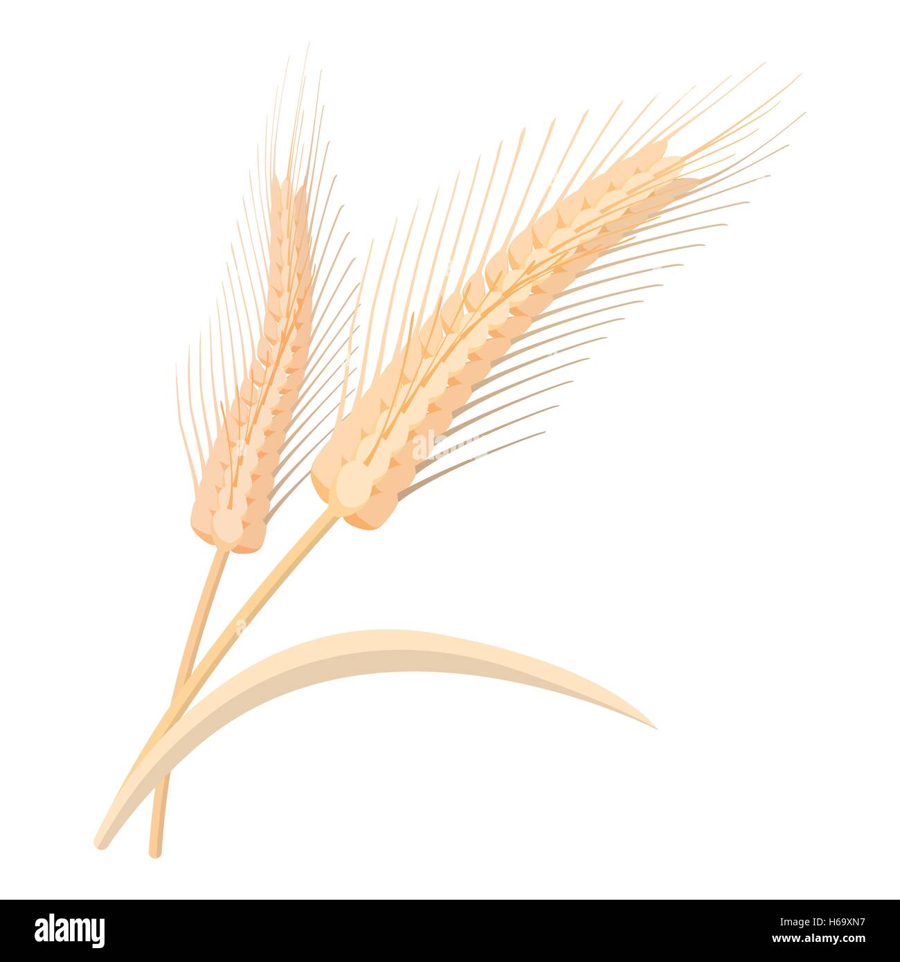 Stalks of corn Stock Vector Images - Alamy