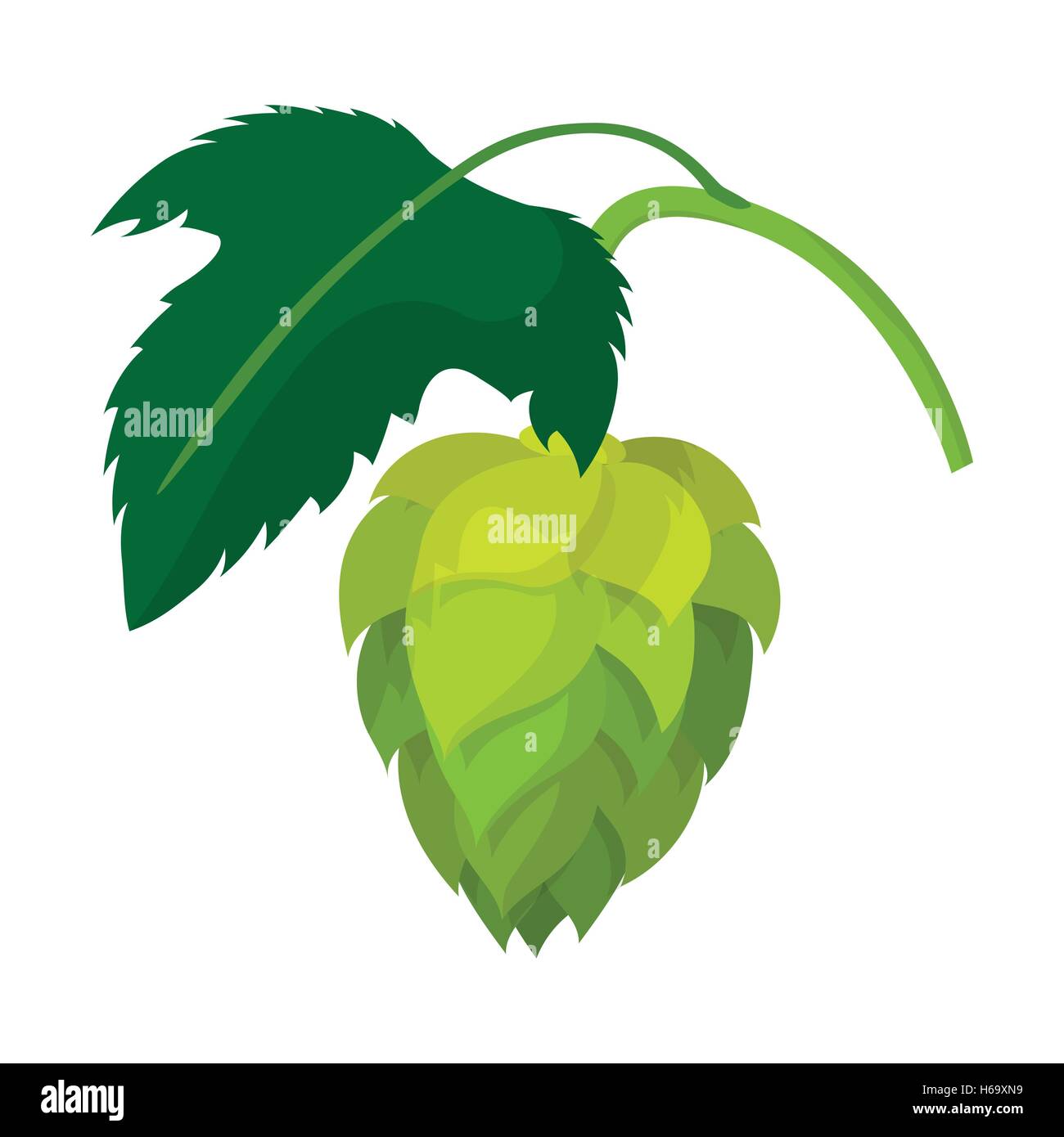 Aroma hops Stock Vector Images - Alamy
