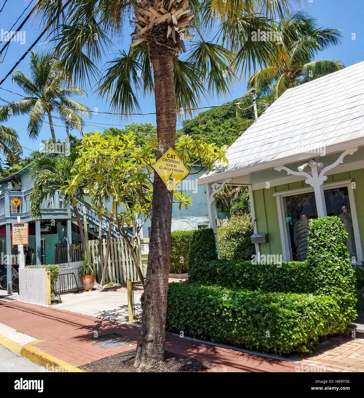 Cat crossing sign hi-res stock photography and images - Alamy
