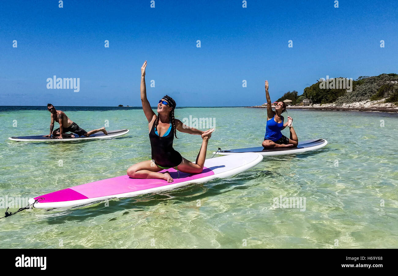 Yoga on a stand up paddle board, taught at Bahia Honda State Park along ...