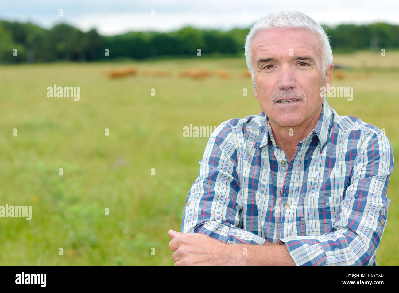 man on the field Stock Photo - Alamy