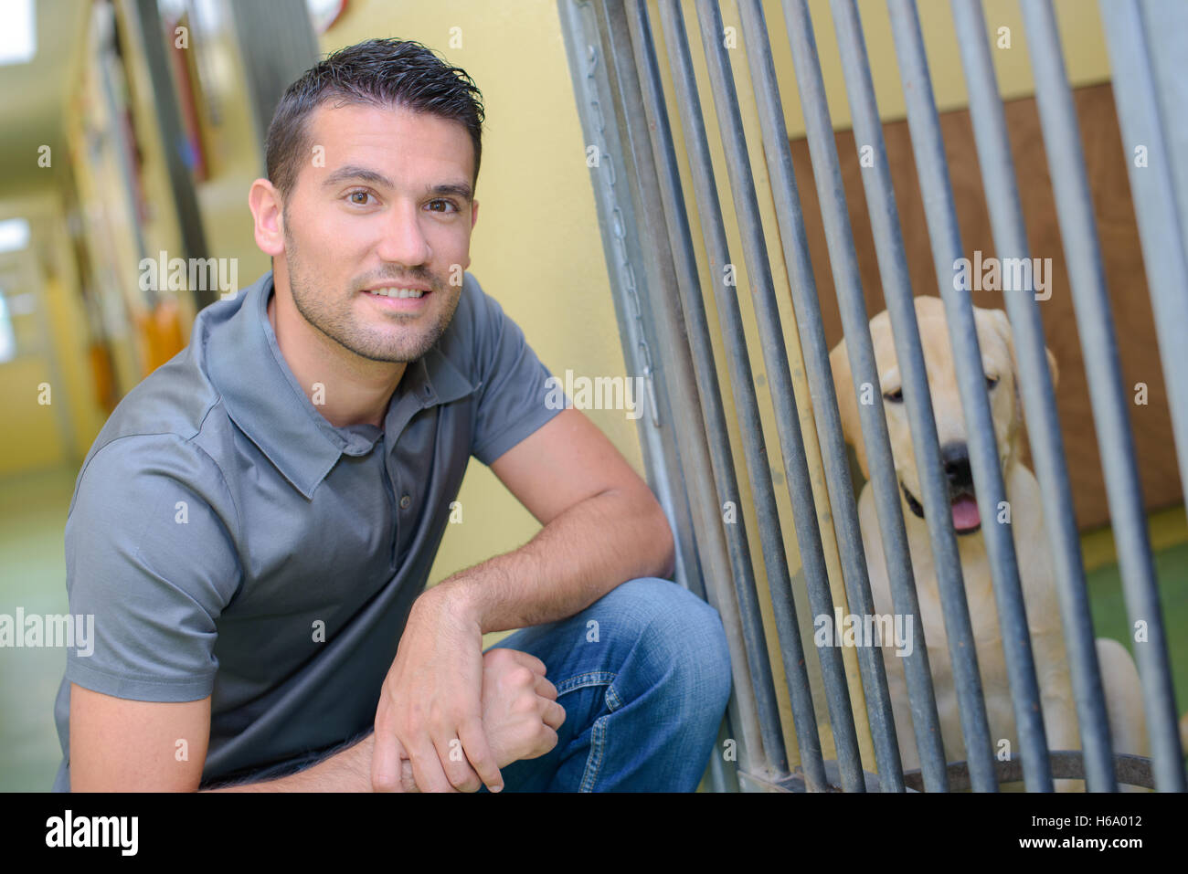 Man next to dog in kennel Stock Photo - Alamy