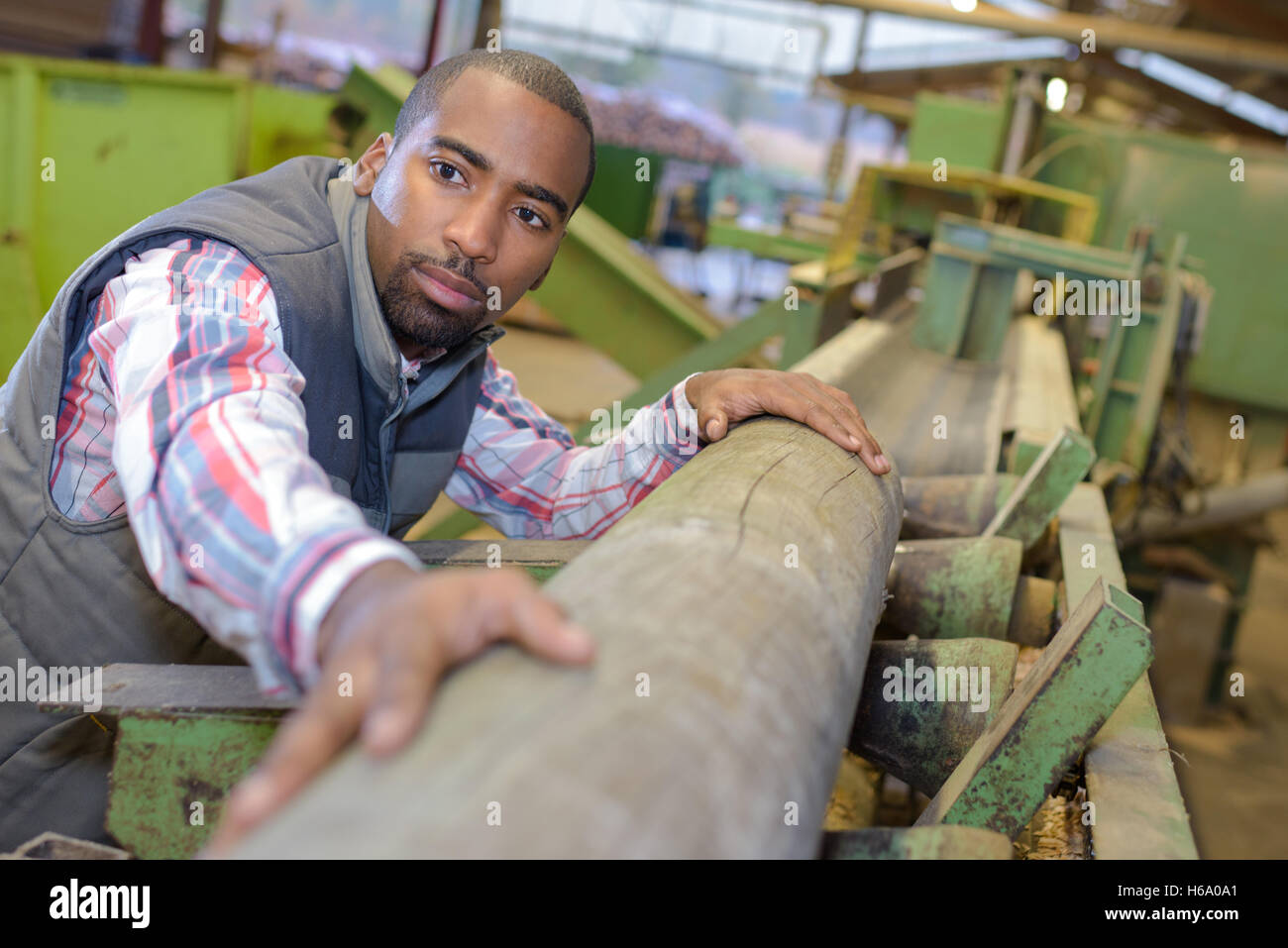 Skillful carpenter hi-res stock photography and images - Alamy