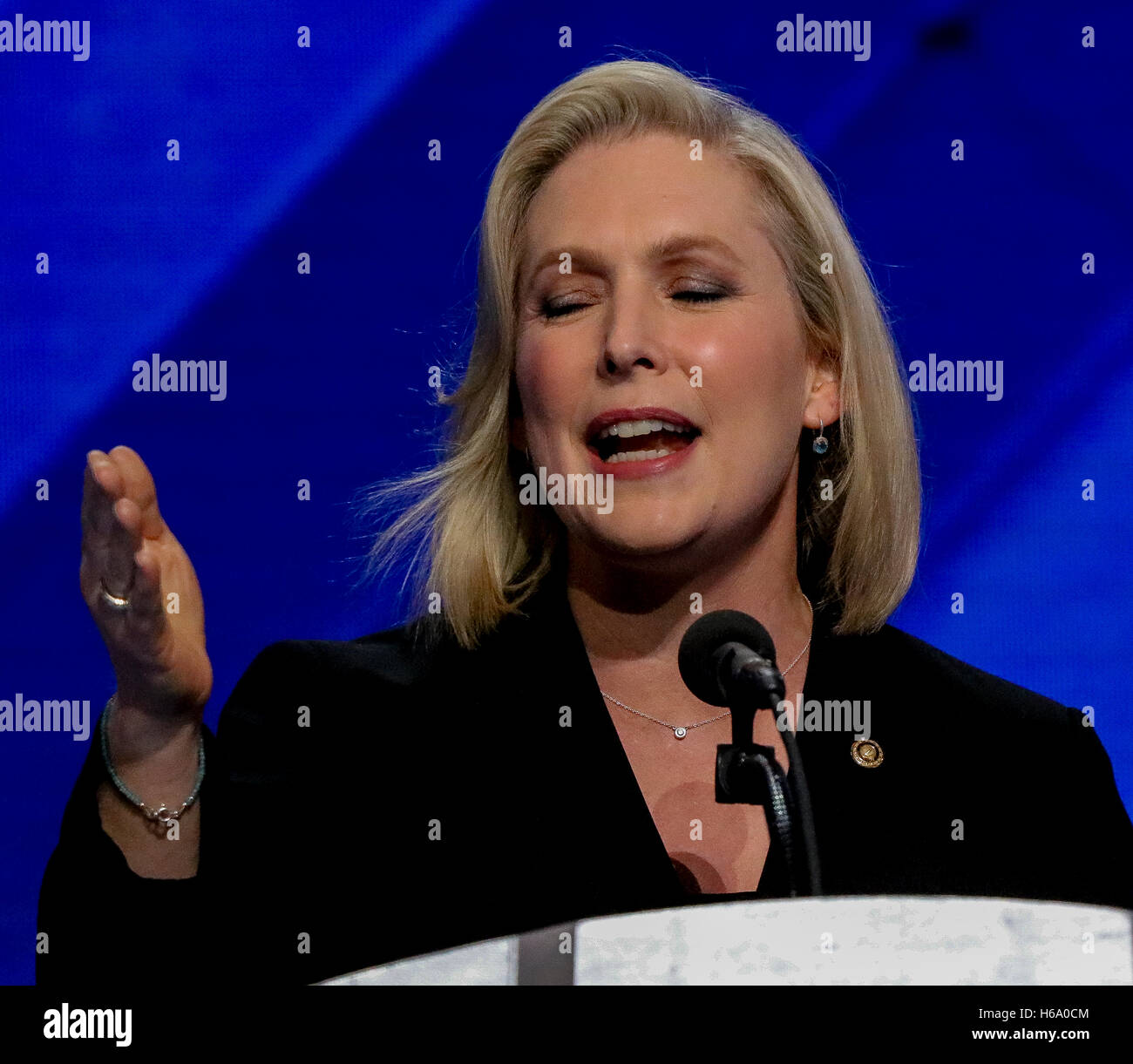 Senator Kirsten Gillibrand (D-New York) addresses the Democratic ...