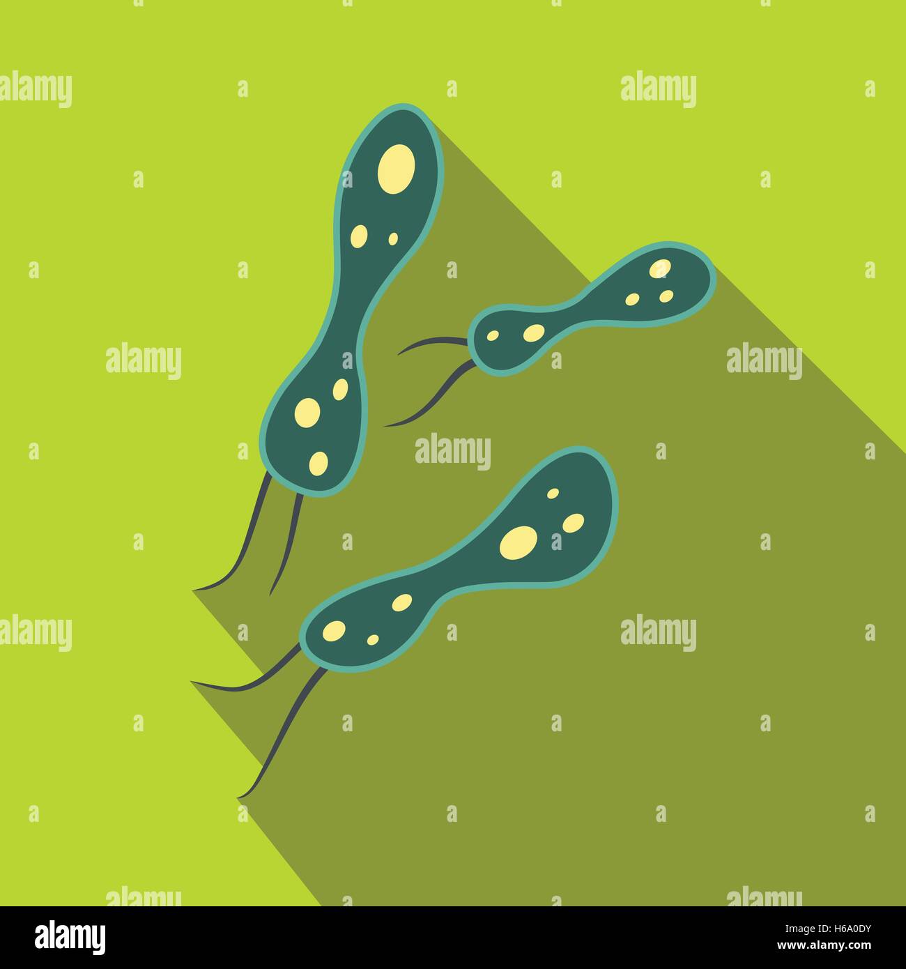Rod shaped bacterium Stock Vector Images - Alamy