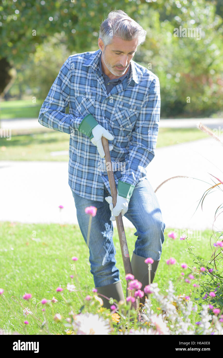 Man digging garden Stock Photo - Alamy