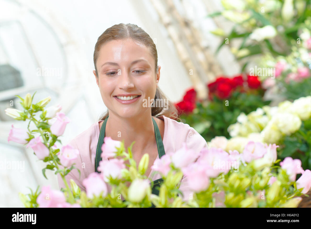 Blooms display florist hi-res stock photography and images - Alamy