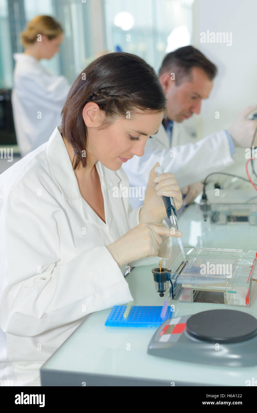 Laboratory technicians at work Stock Photo - Alamy