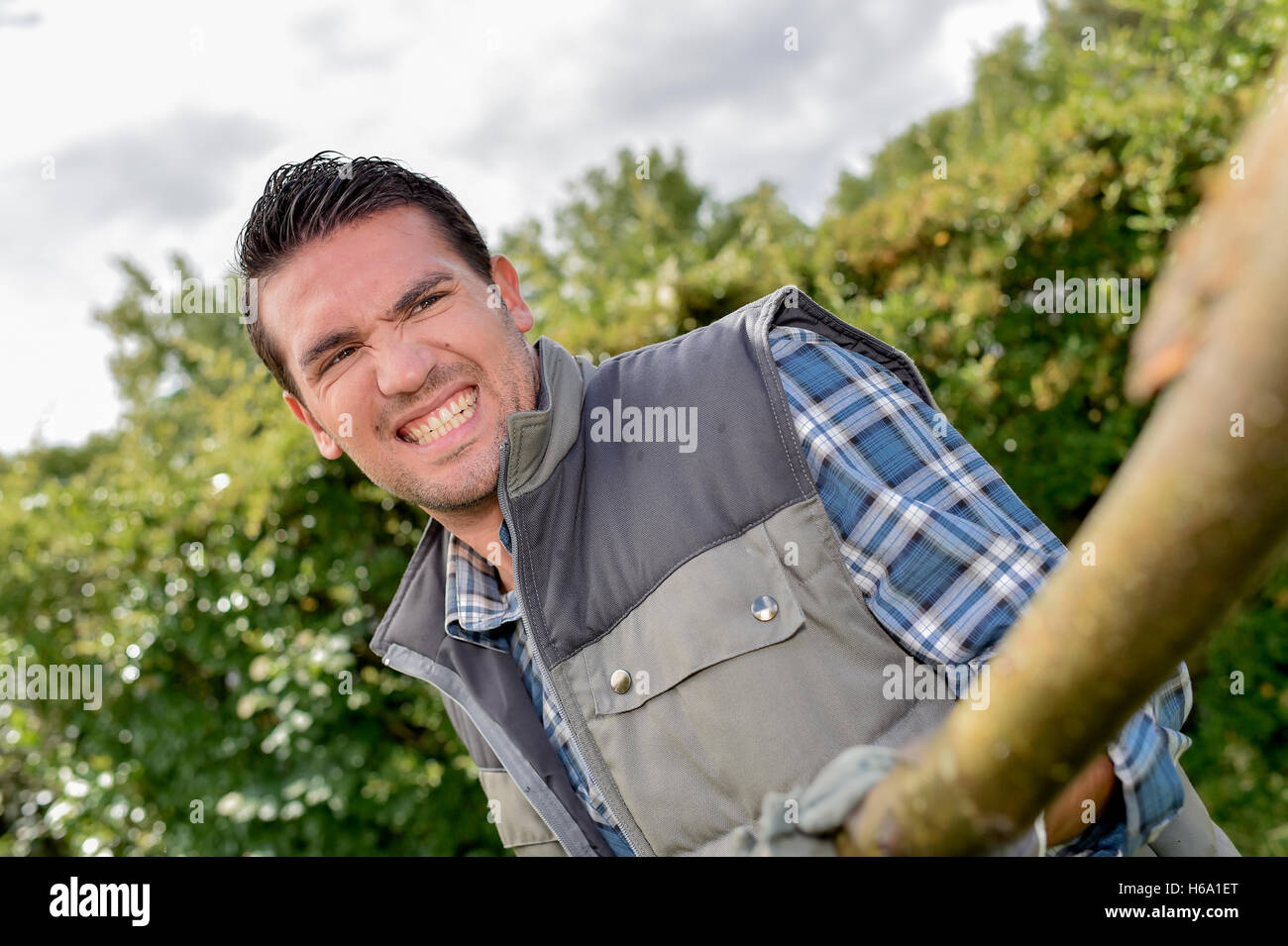 Man straining to pull a branch Stock Photo - Alamy